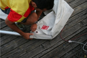 Laser Rigging Guide | Washington Yacht Club